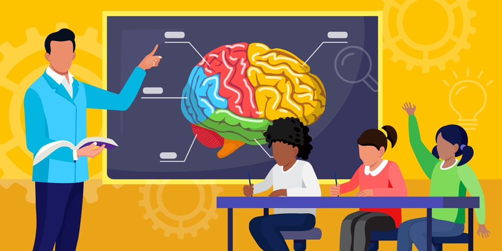 Brainy Teaching: Prioritizing Neuroscience During Instruction